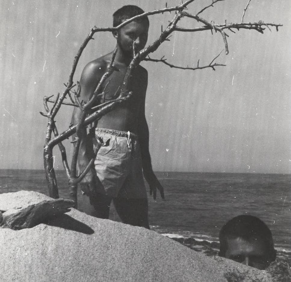 Provincetown PaJaMa Party – Brian Ferrari's Blog